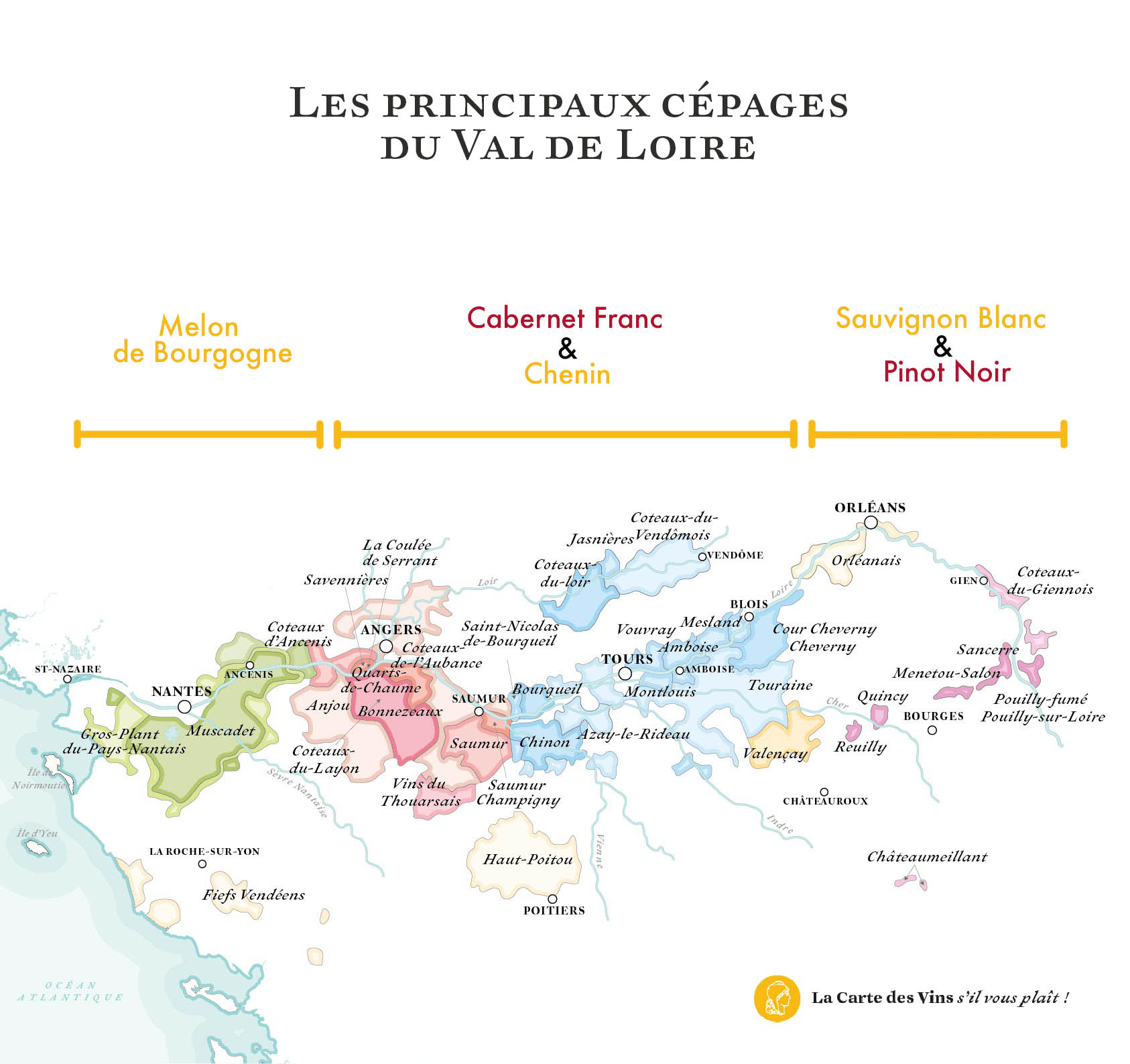 Cépage blanc | Partez à la découverte du Pineau de la Loire : le chenin