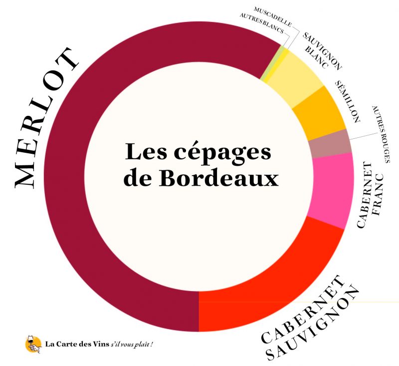 Le Guide Complet des Vins de Bordeaux | La Carte des Vins s'il vous plaît