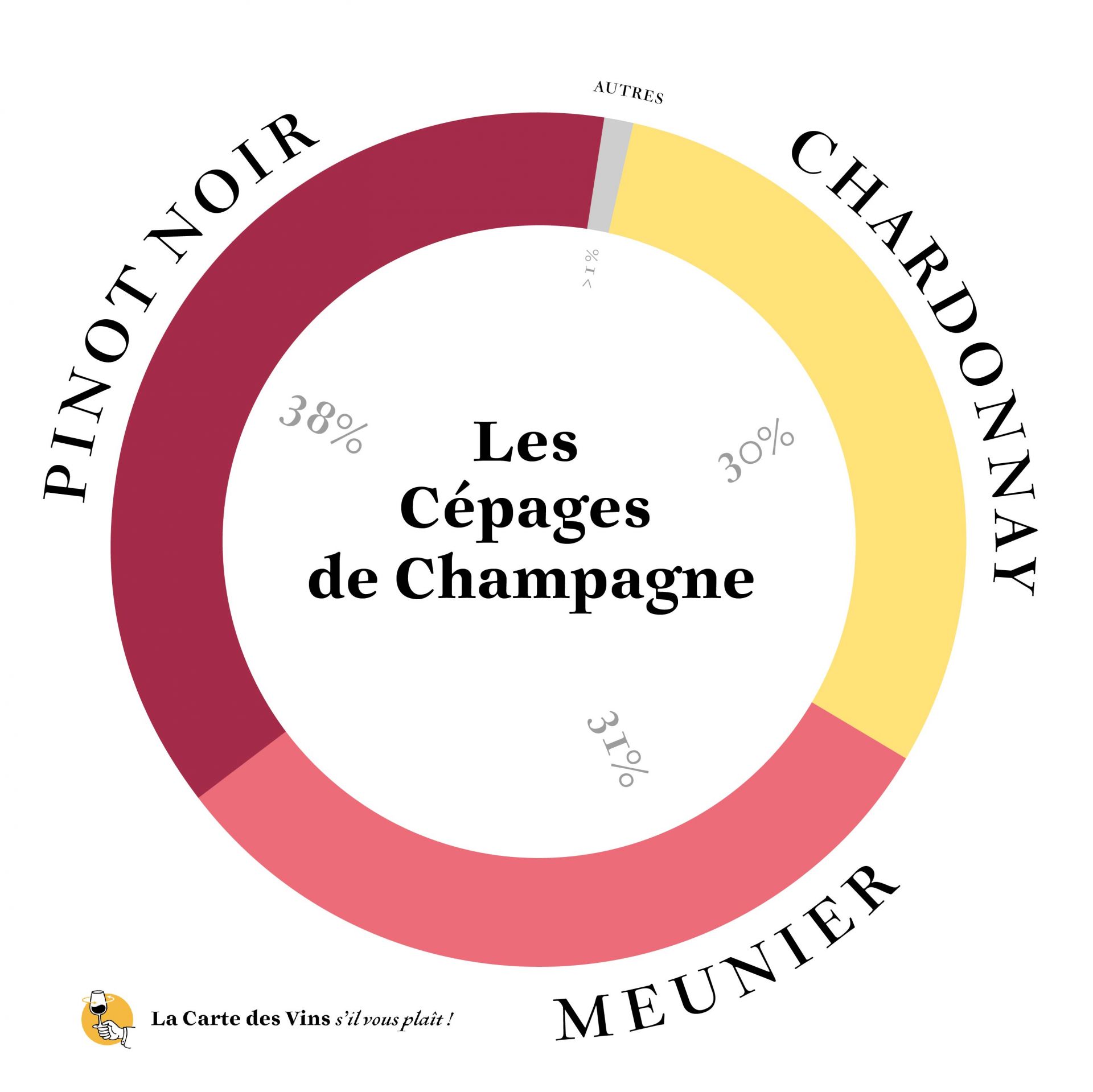 Le guide complet des vins de Champagne (+ Cartes de la région)